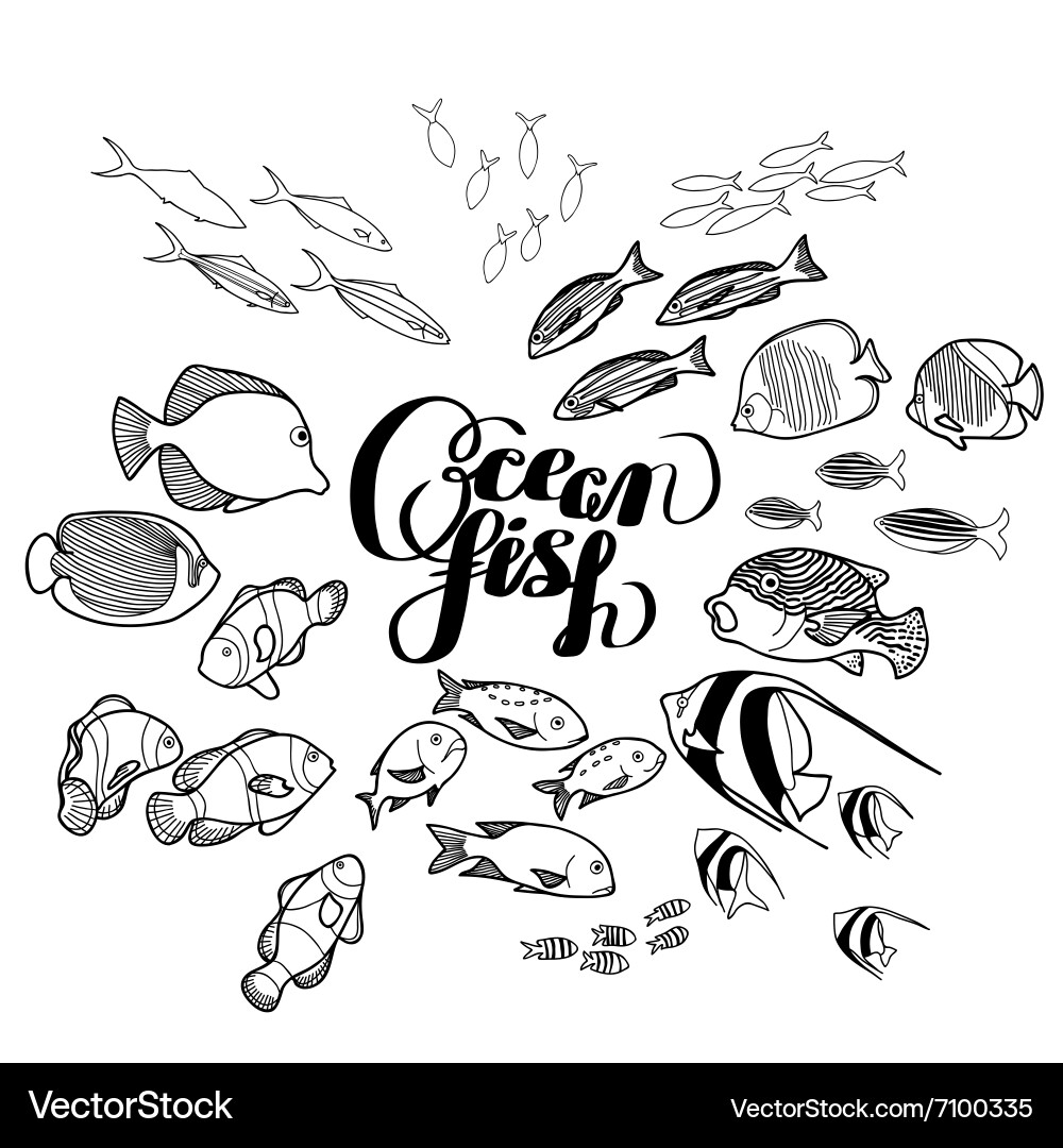 Collection of ocean fish Royalty Free Vector Image