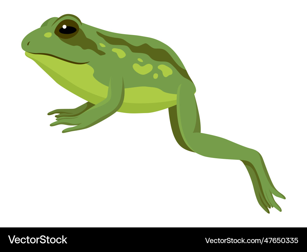 Frog jumping animation icon sequences or footage Vector Image