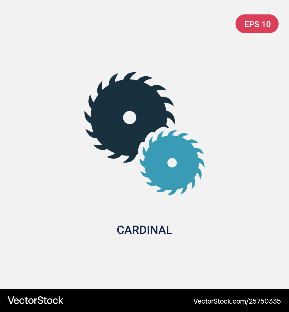 Two color cardinal icon from tools and utensils Vector Image