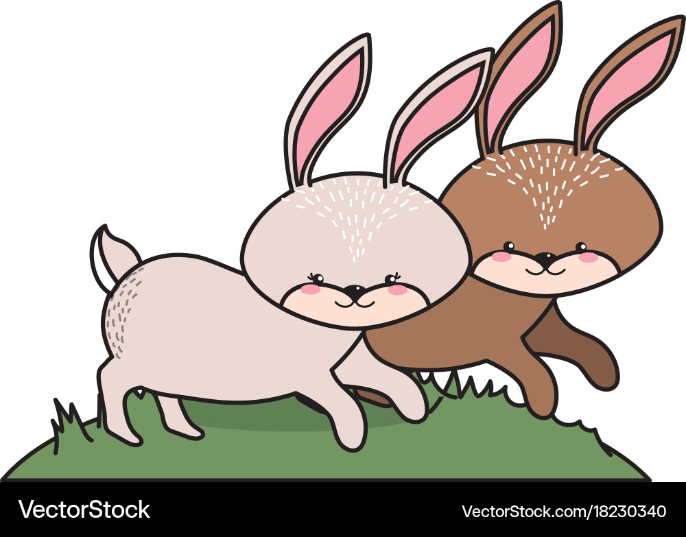 Cute rabbit animal couple together Royalty Free Vector Image