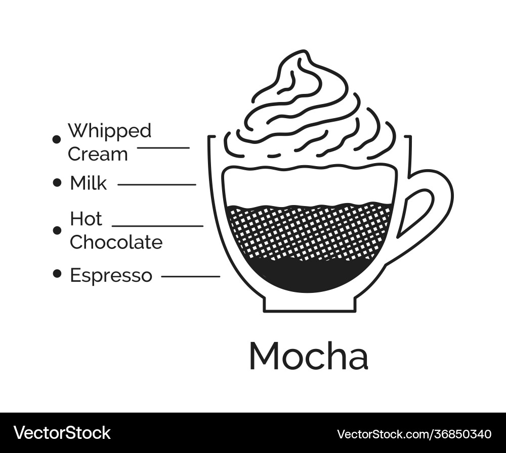 Infographic mocha coffee recipe Royalty Free Vector Image