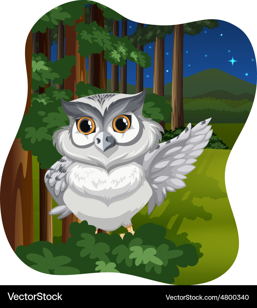 White owl Royalty Free Vector Image - VectorStock