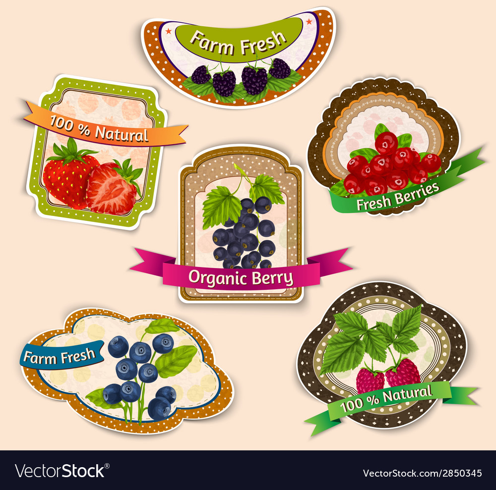 Berries emblems set Royalty Free Vector Image - VectorStock