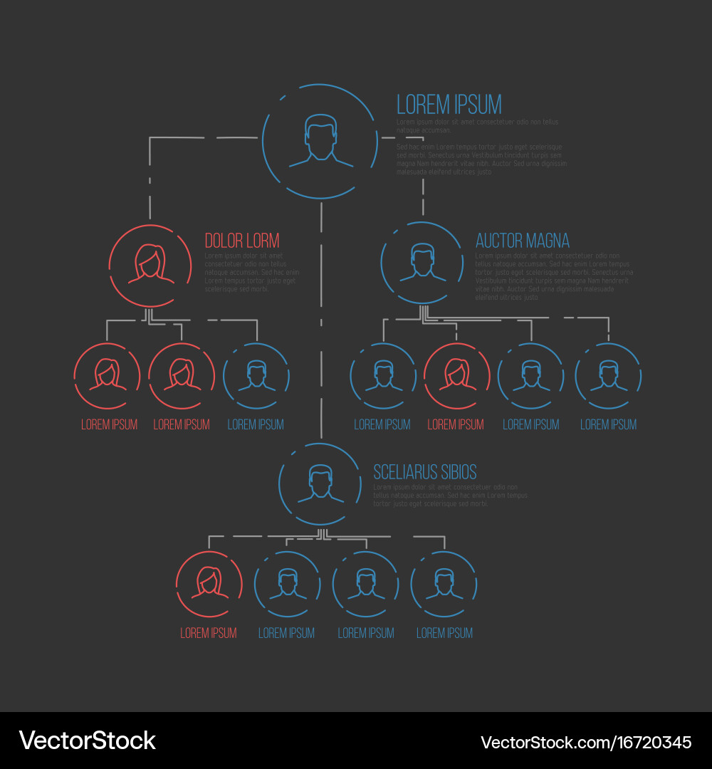 Company hierarchy diagram template Royalty Free Vector Image