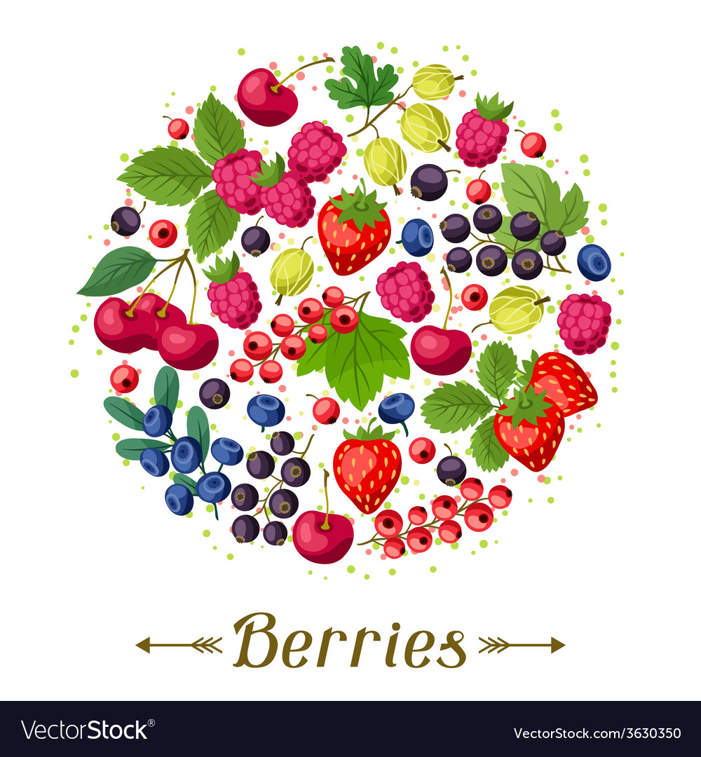 Nature background design with berries Royalty Free Vector