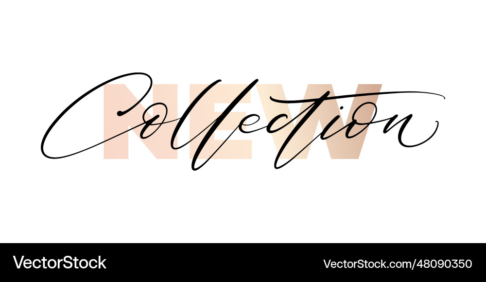 New collection hand written lettering with bold Vector Image
