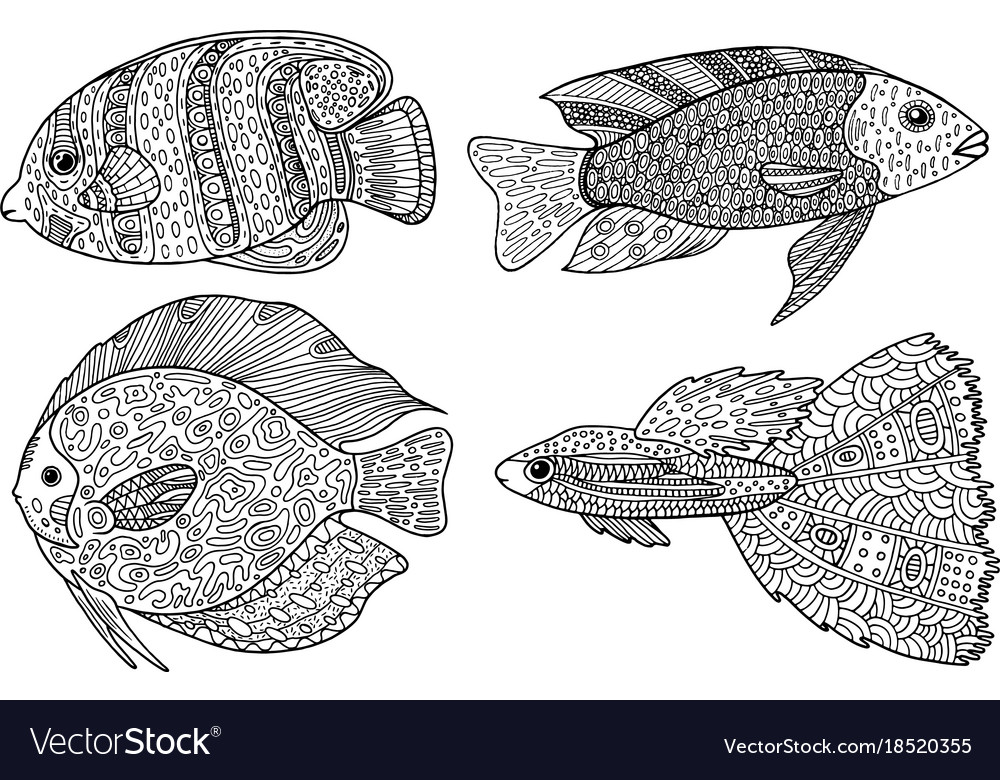 Doodle zentangle fish zen art coloring page for Vector Image