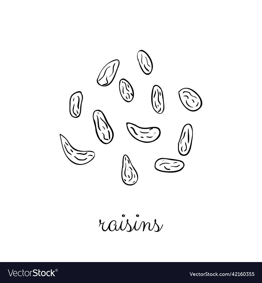 Group of hand drawn raisins Royalty Free Vector Image