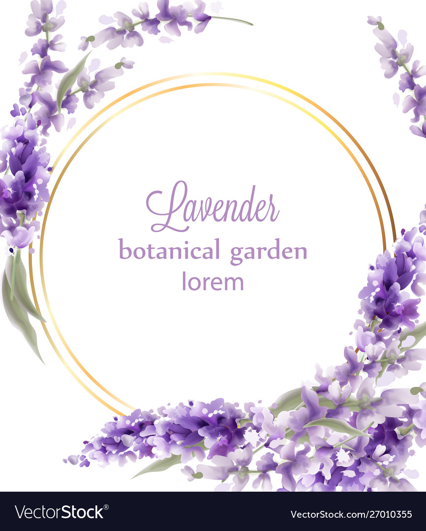 Lavender gold wreath card watercolor flowers Vector Image