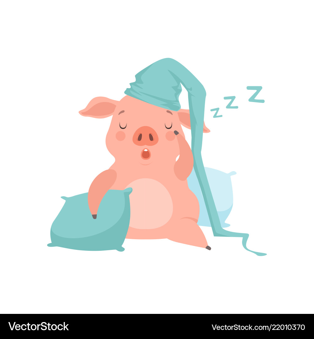 Cute little pig in light blue nightcap sleeping Vector Image