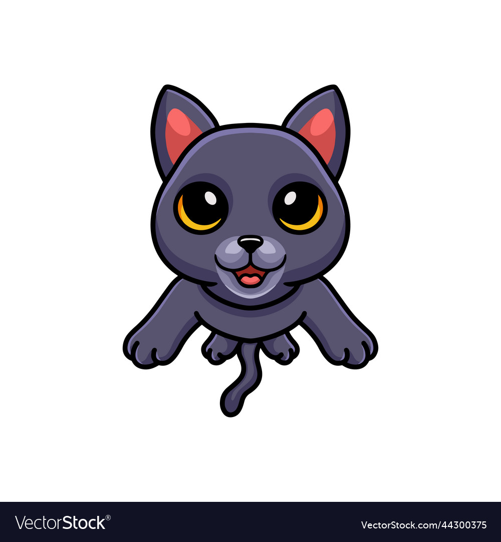 Cute chartreux cat cartoon posing Royalty Free Vector Image