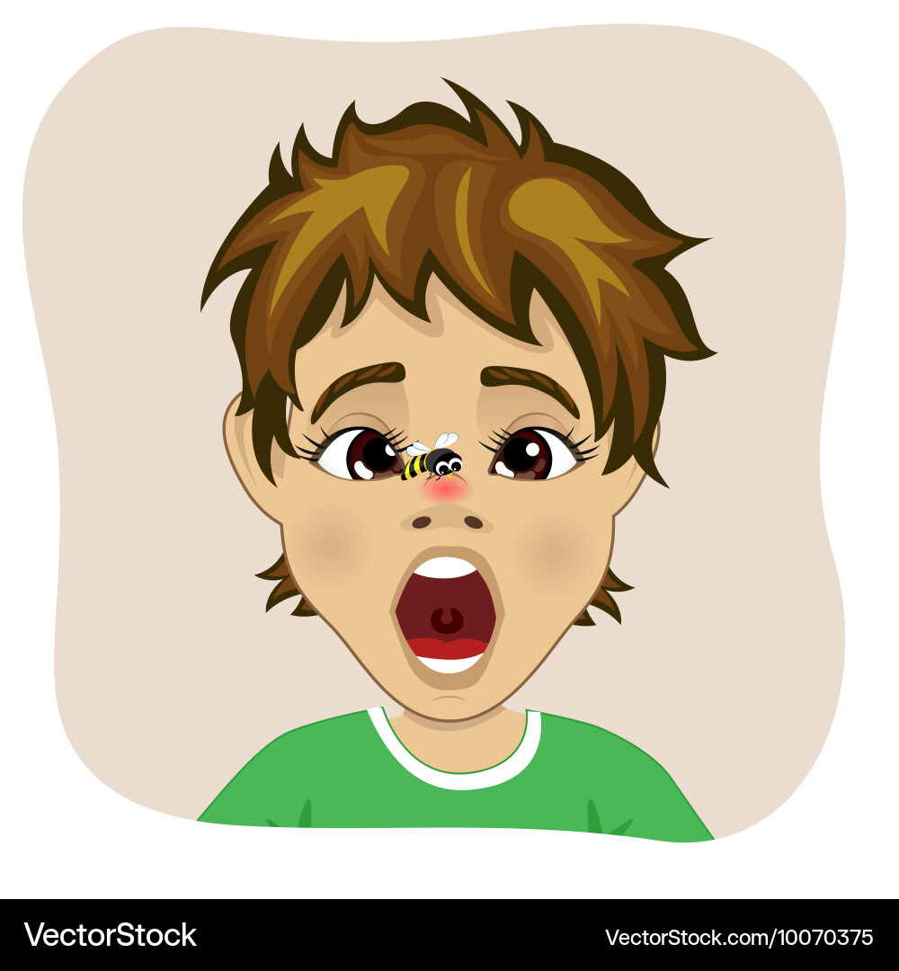 Young boy with wasp on his nose Royalty Free Vector Image