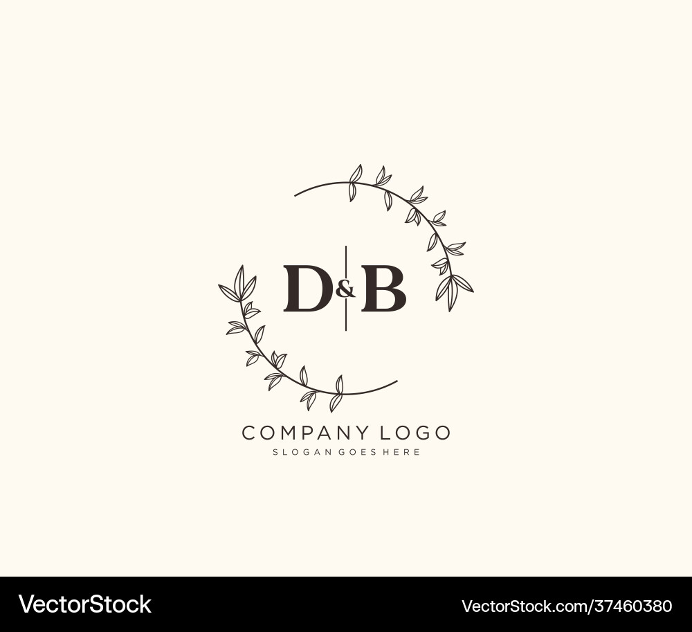 Initial db letters beautiful floral feminine Vector Image
