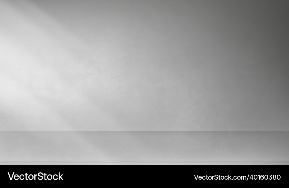 Studio room with shade and light on floor grey Vector Image