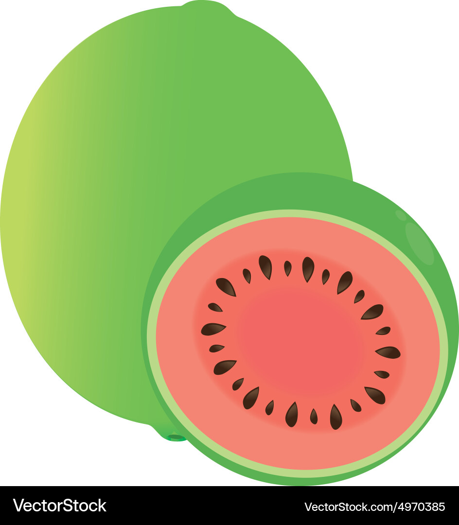 Abstract cartoon guava on a white background Vector Image