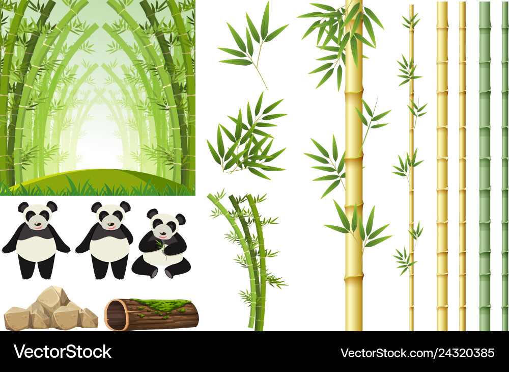 Set of panda and bamboo Royalty Free Vector Image