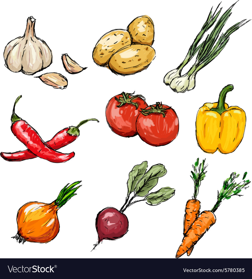 Vegetables set Royalty Free Vector Image - VectorStock