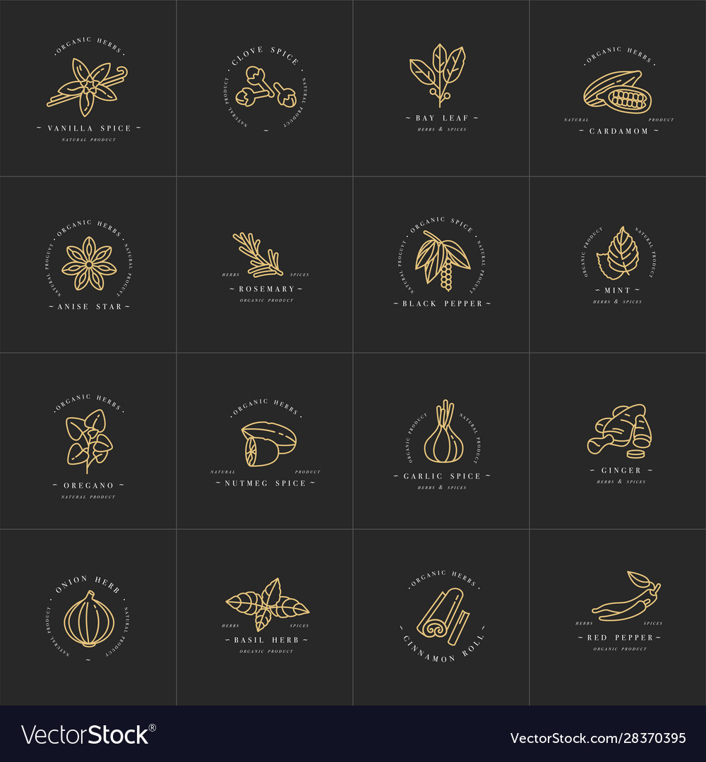 Set design templates monochrome logo Royalty Free Vector