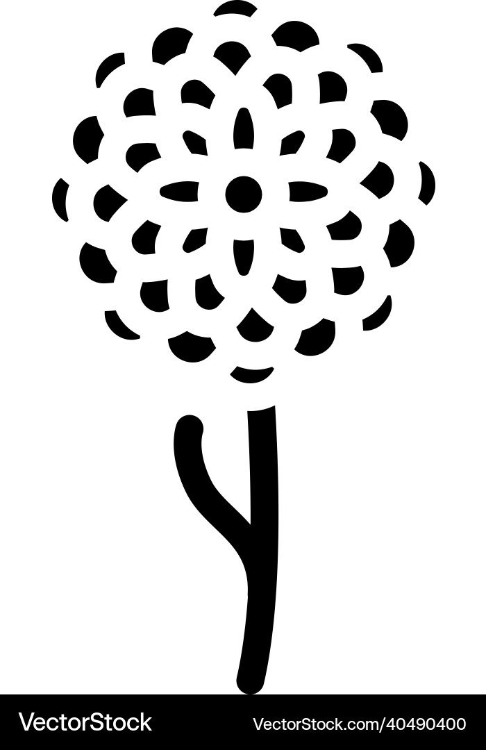 Chrysanthemum flower glyph icon Royalty Free Vector Image