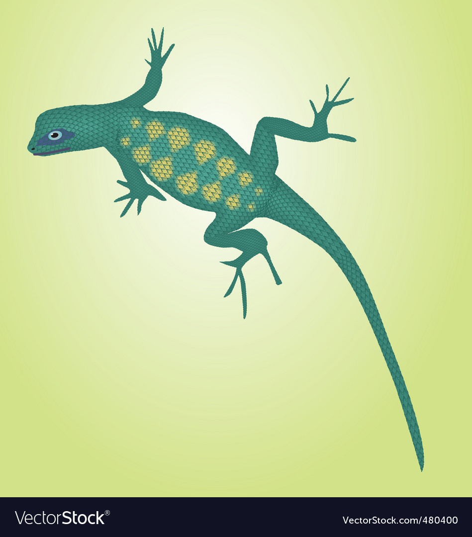 Lizard Royalty Free Vector Image - VectorStock