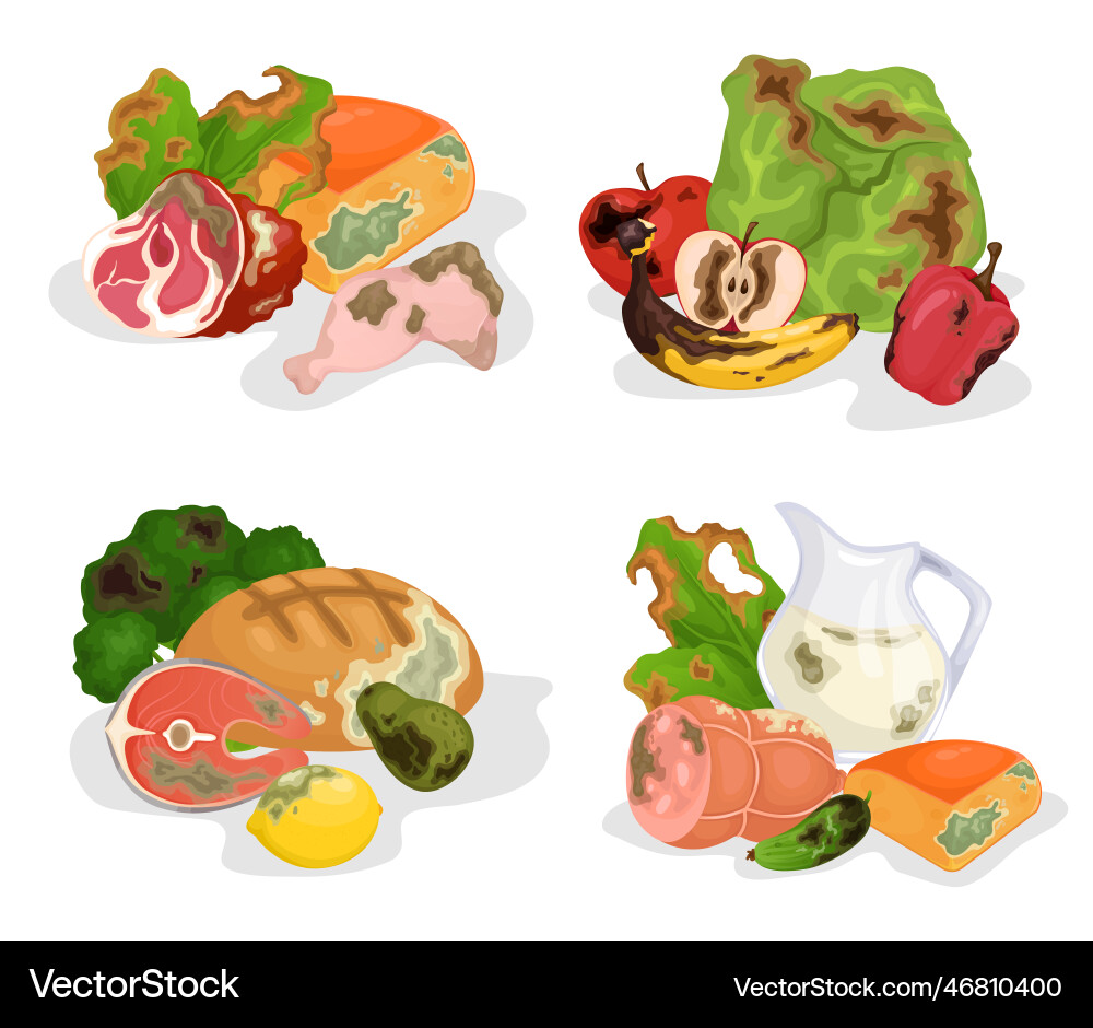 Rotten food 2x2 design concept Royalty Free Vector Image