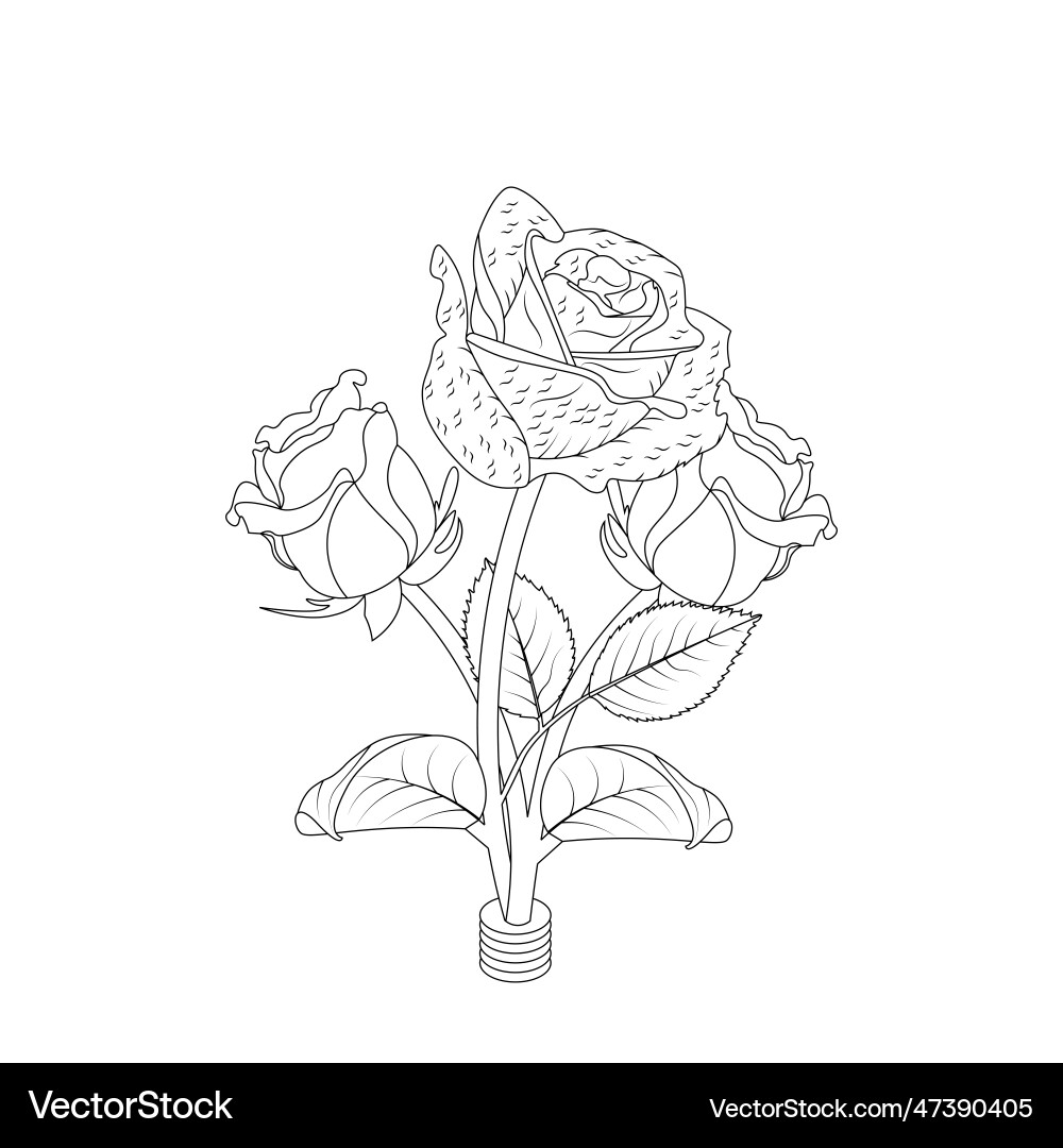 Rose flower hand drawn coloring page Royalty Free Vector