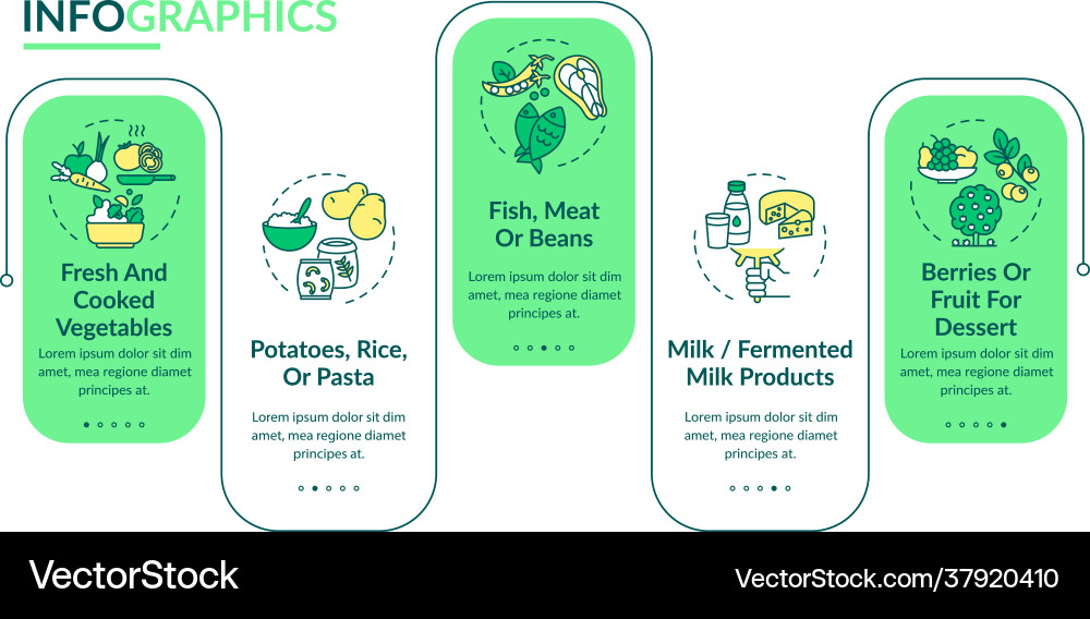 Healthy school meal components infographic Vector Image