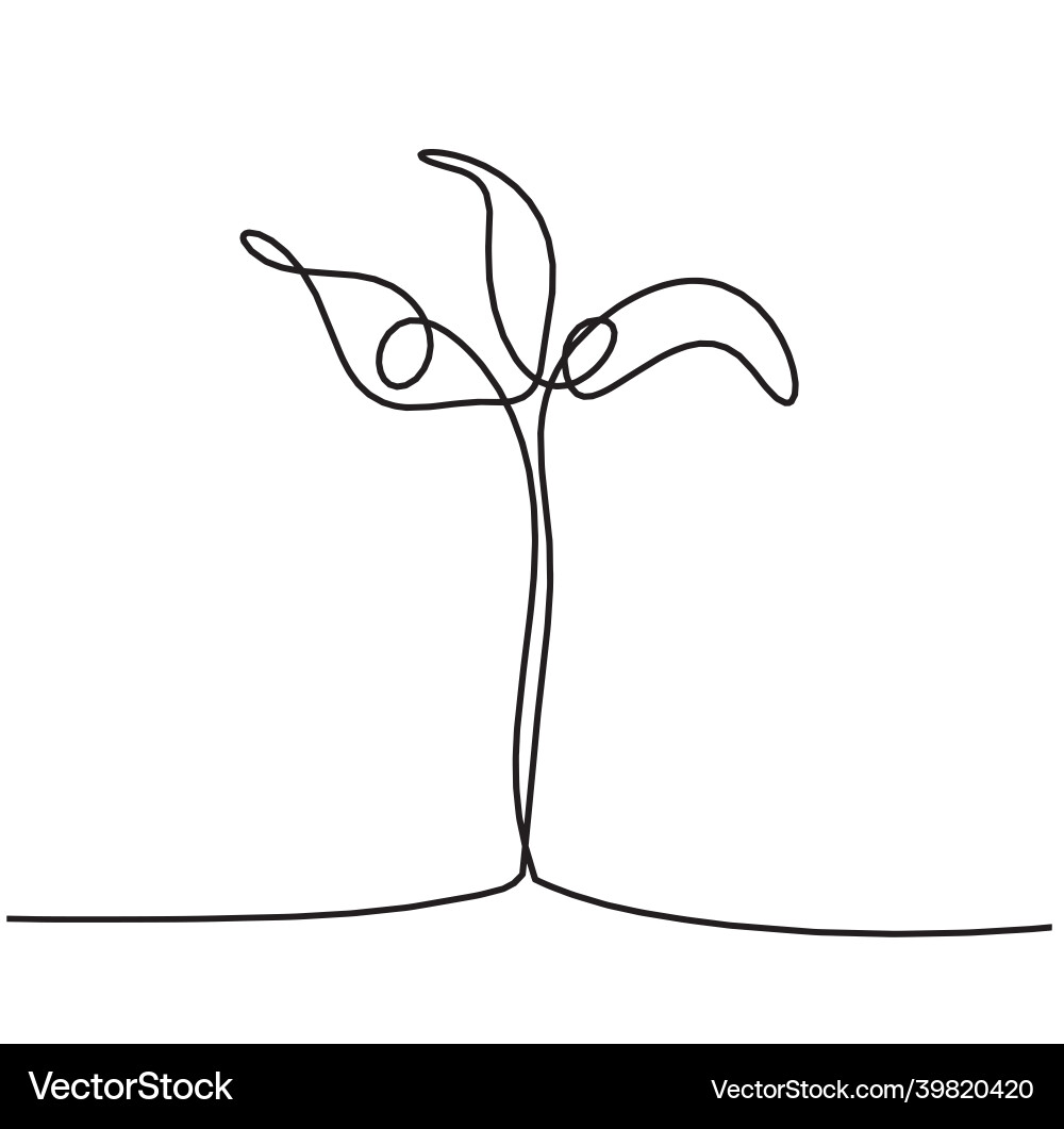 Abstract sprout as line drawing on the white Vector Image