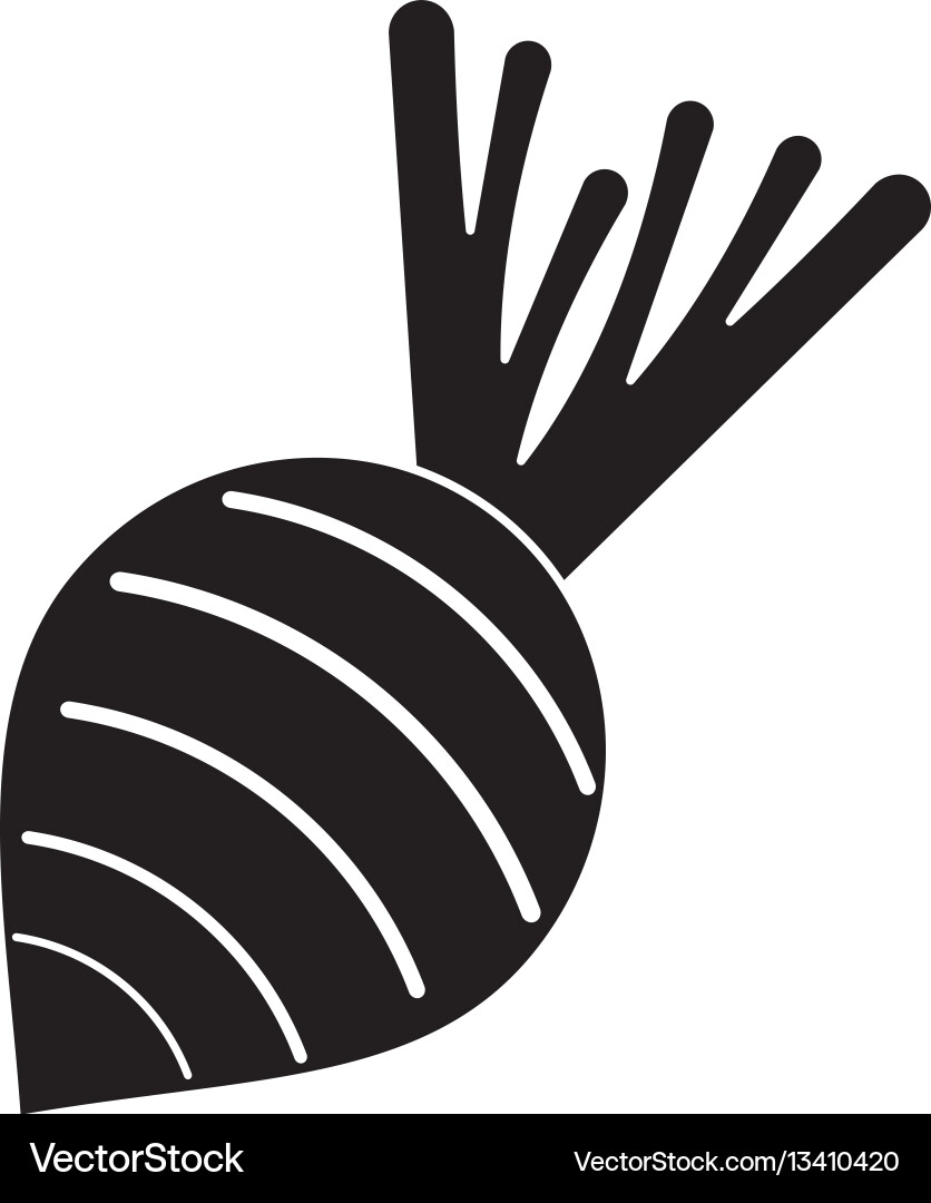 Beet vegetable nutrition pictograph Royalty Free Vector
