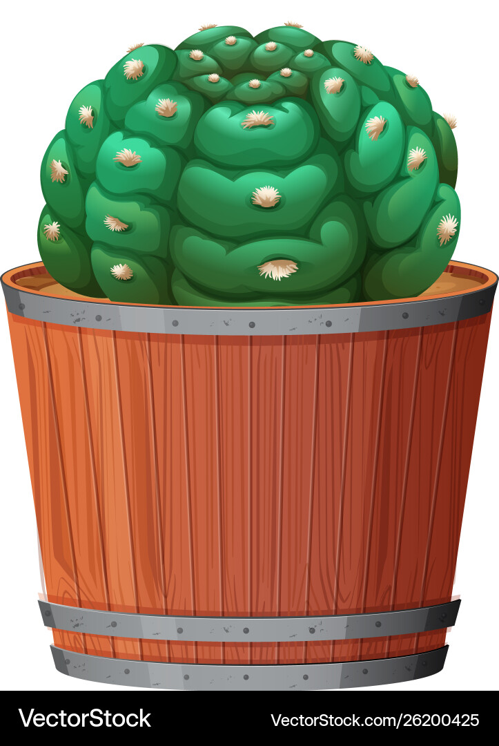 A cactus in pot Royalty Free Vector Image - VectorStock