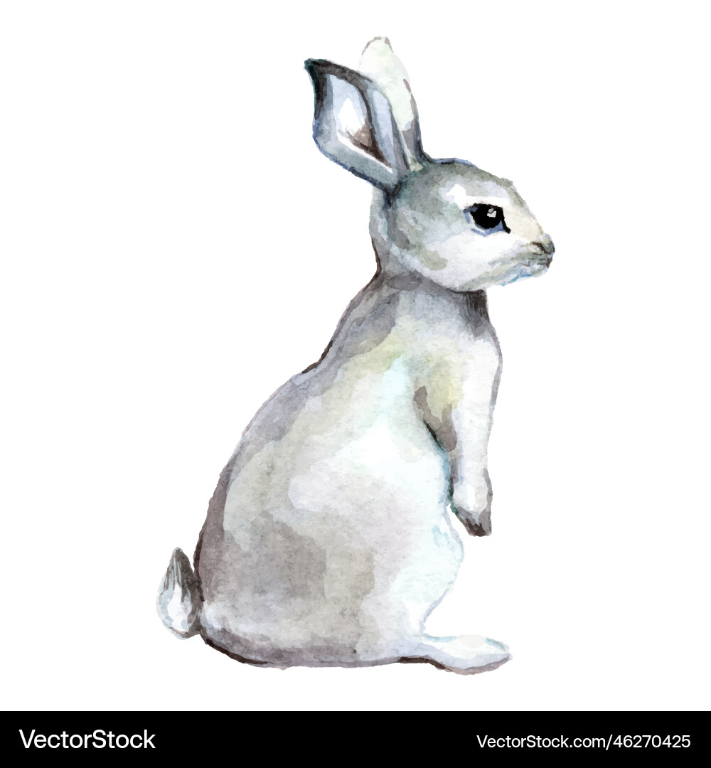 Cartoon rabbit watercolor isolated Royalty Free Vector Image
