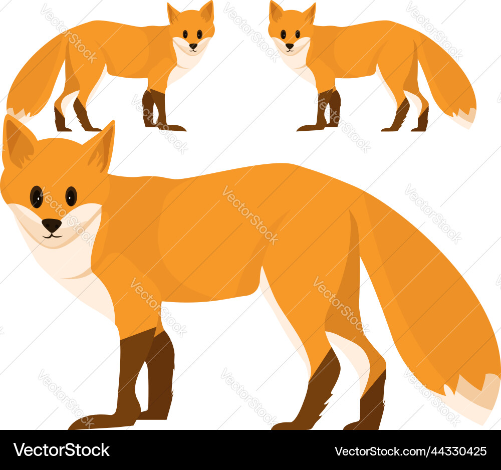 Orange fox animal on a white background Royalty Free Vector
