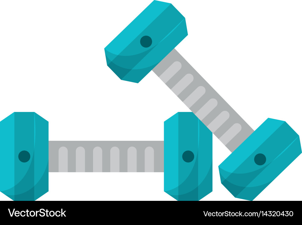 Dumbbell weight gym equipment Royalty Free Vector Image