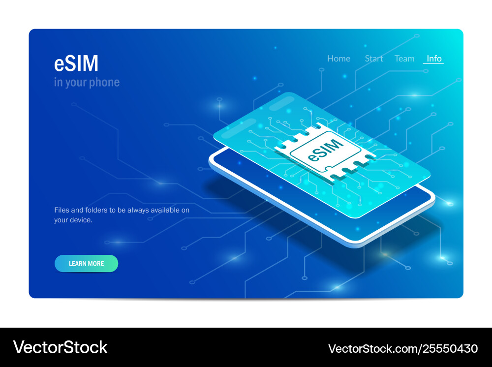 Esim card chip sign embedded sim concept new Vector Image