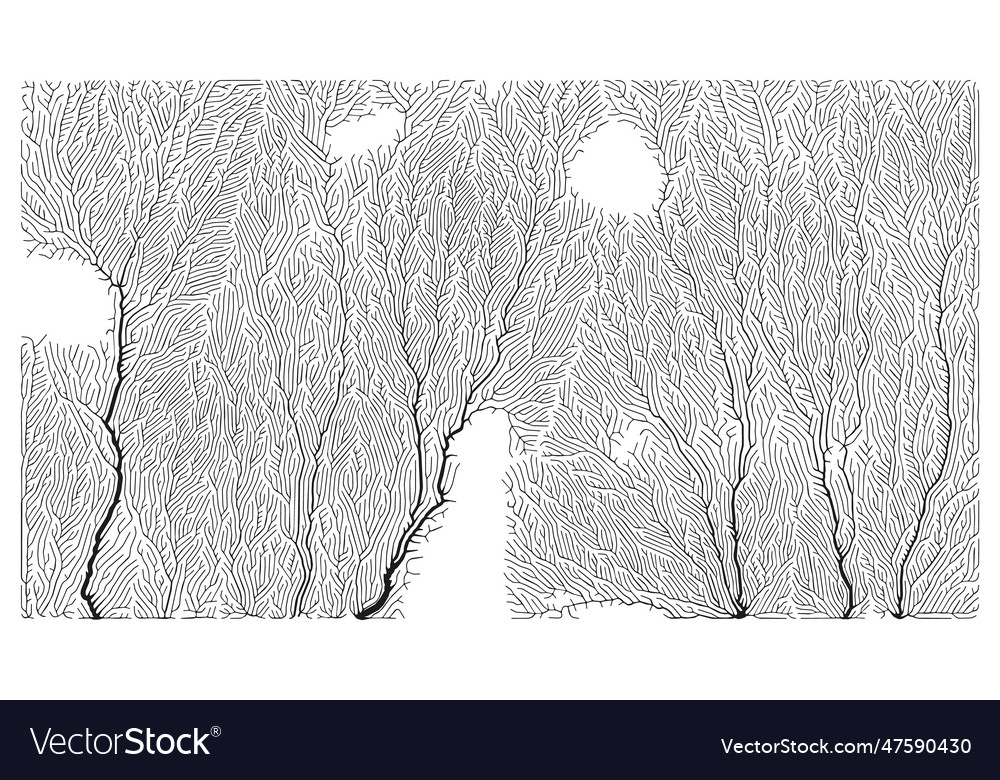 Growth Pattern Generative Branching Structure Vector Image