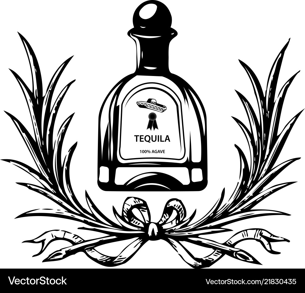Alcohol bottle tequilla drink drinking cocktail Vector Image