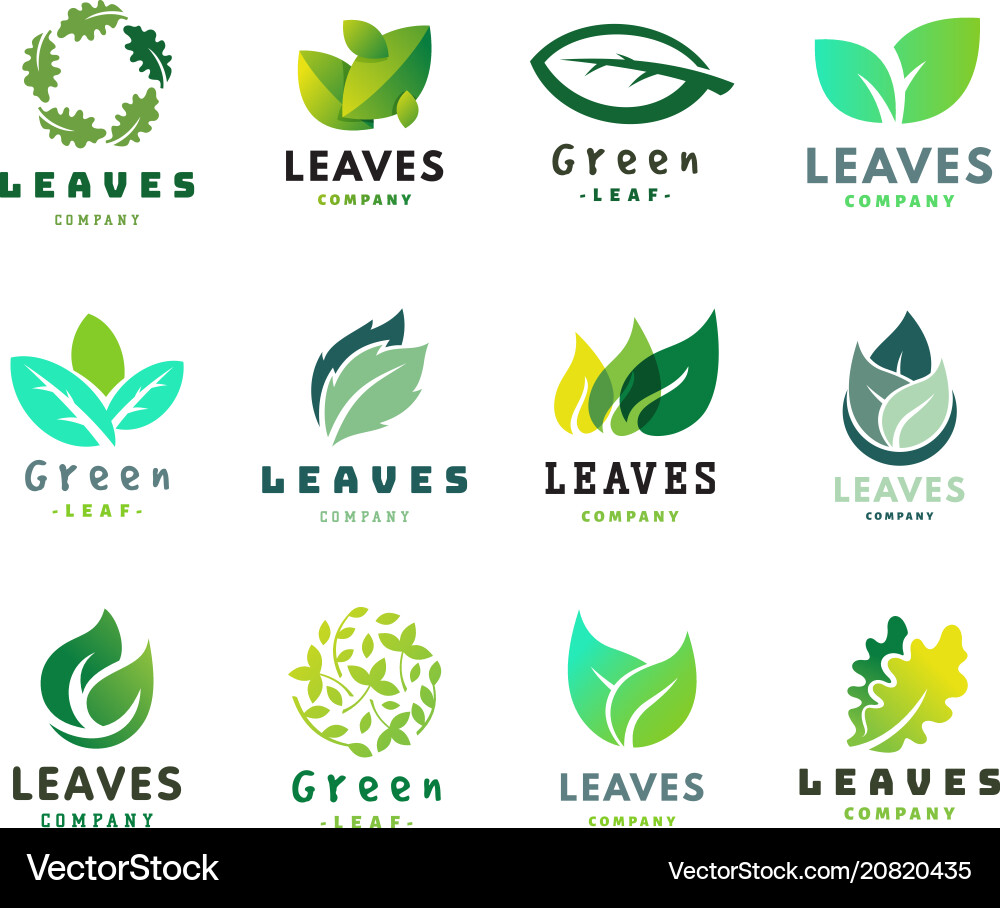 Green leaf eco design friendly nature elegance Vector Image