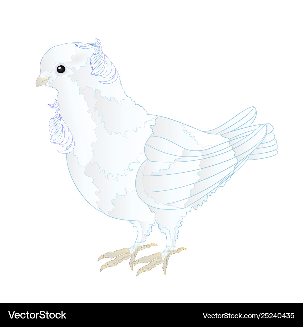 Small bird cute ornamental white dove Royalty Free Vector