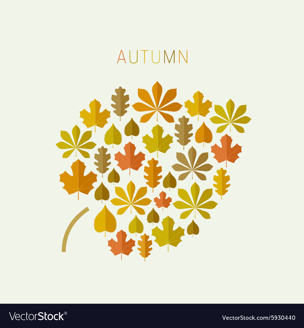 Autumn leaf Royalty Free Vector Image - VectorStock