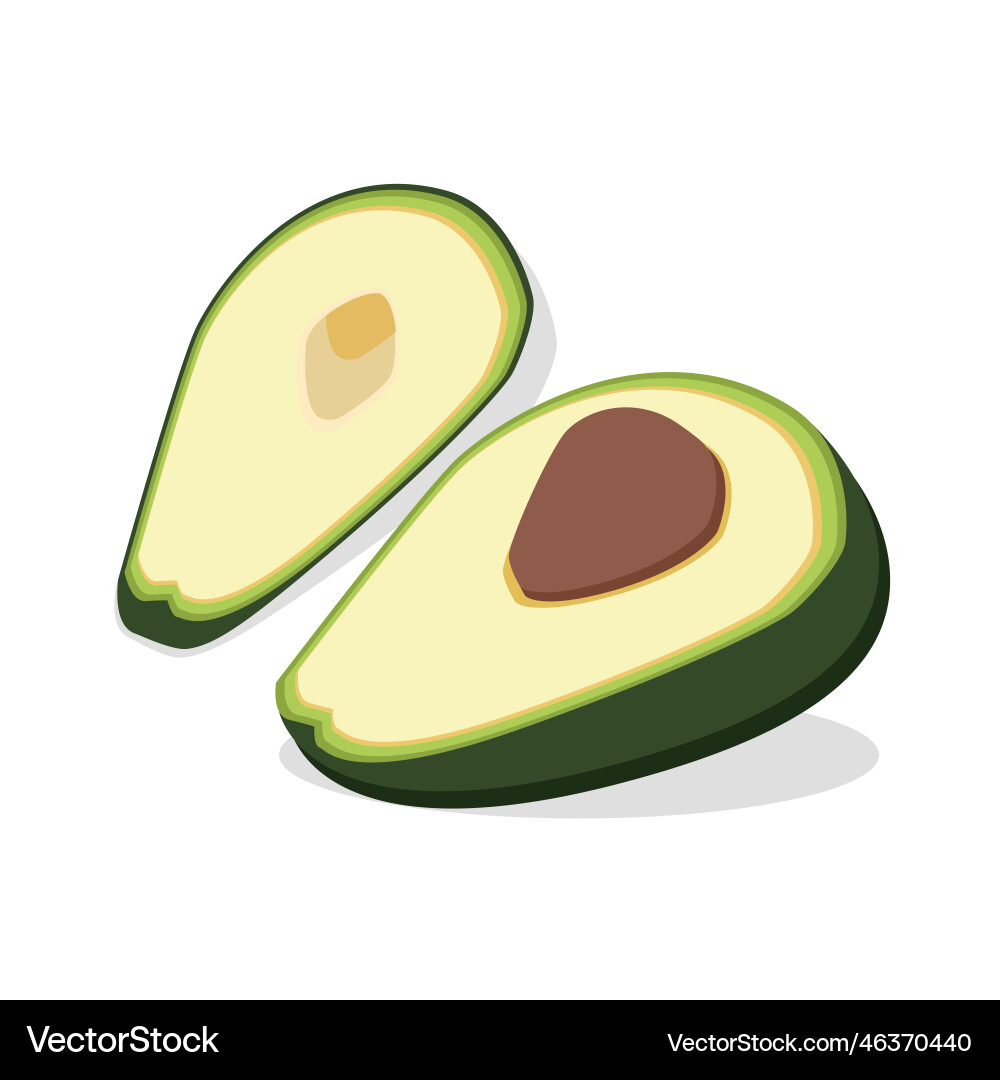 Avocado isometric flat icon isolated in white Vector Image