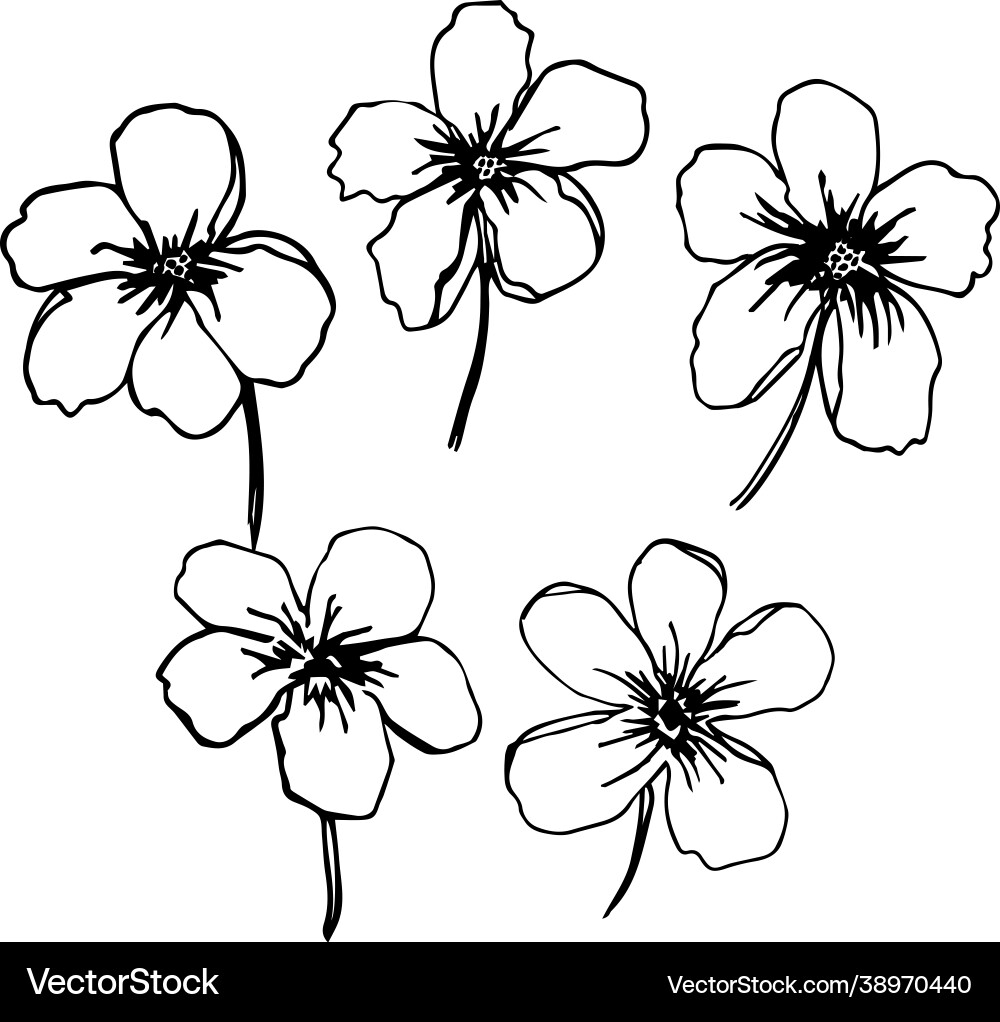 Floral doodle elements hand drawn for logo Vector Image