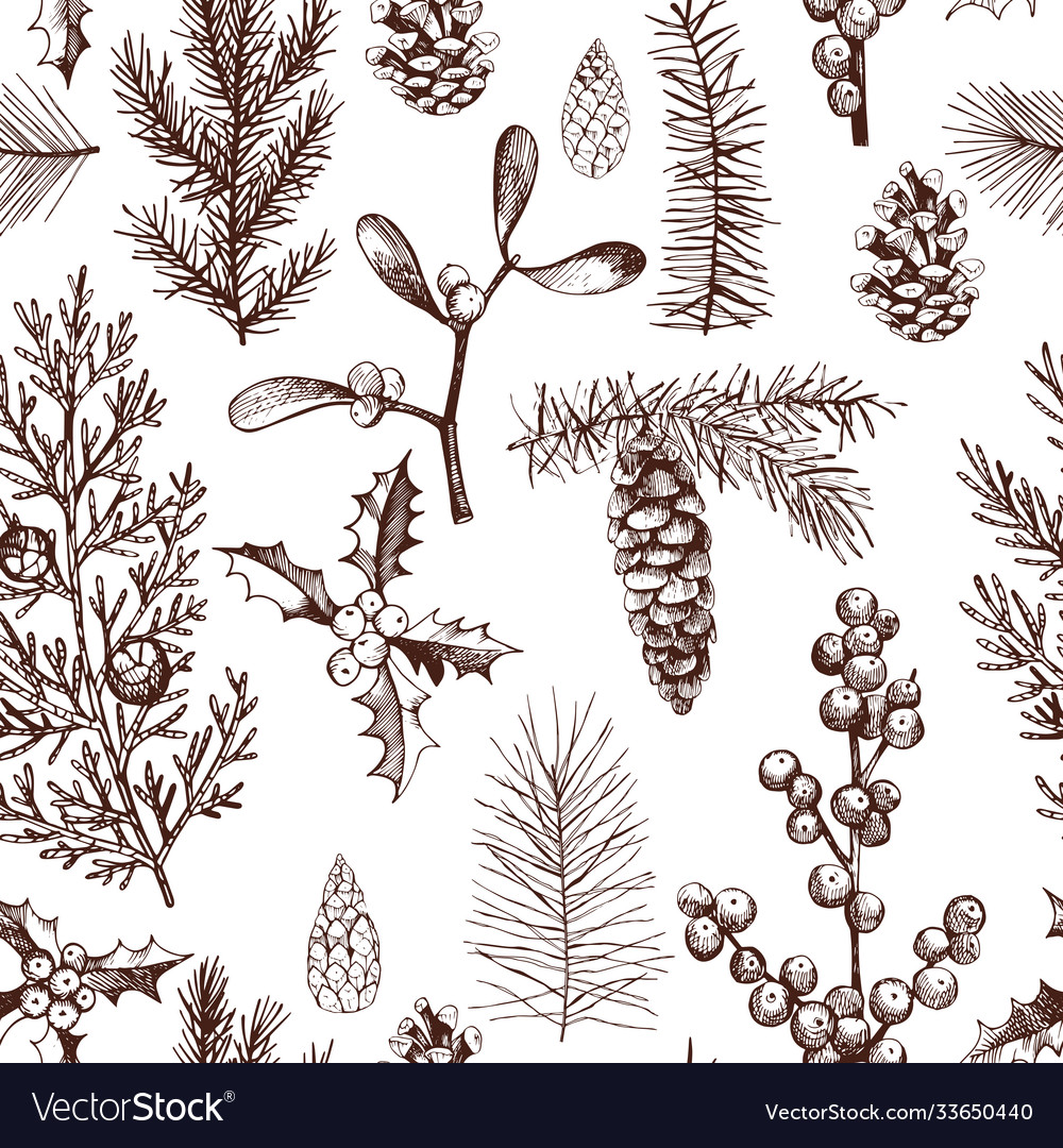 Pattern with hand-drawn christmas plants Vector Image Pattern with hand-drawn christmas plants Vector Image