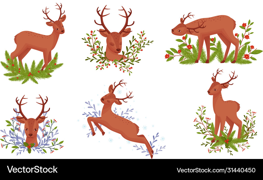 Deer with antlers standing in floral branches Vector Image