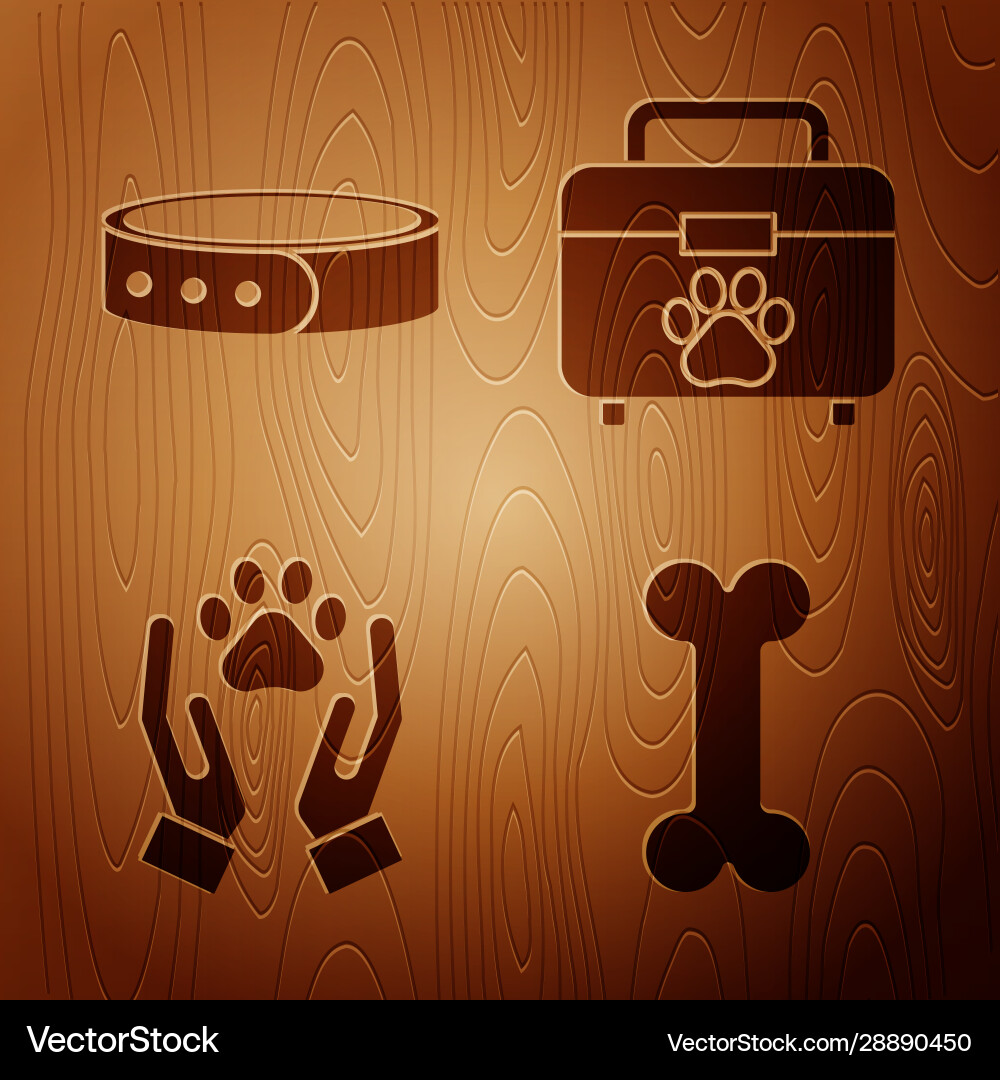 Set dog bone collar with name tag hands Royalty Free Vector