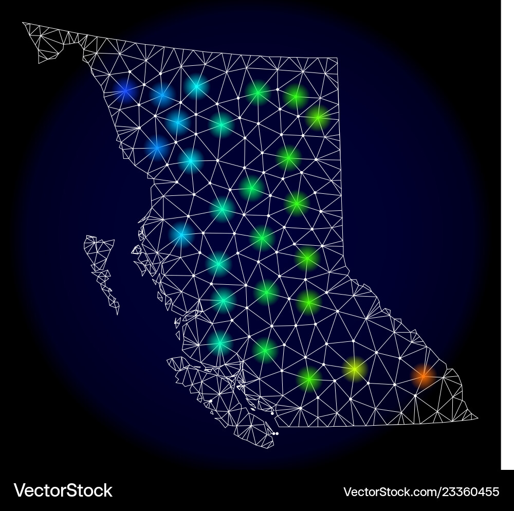 Polygonal network mesh map of british columbia Vector Image