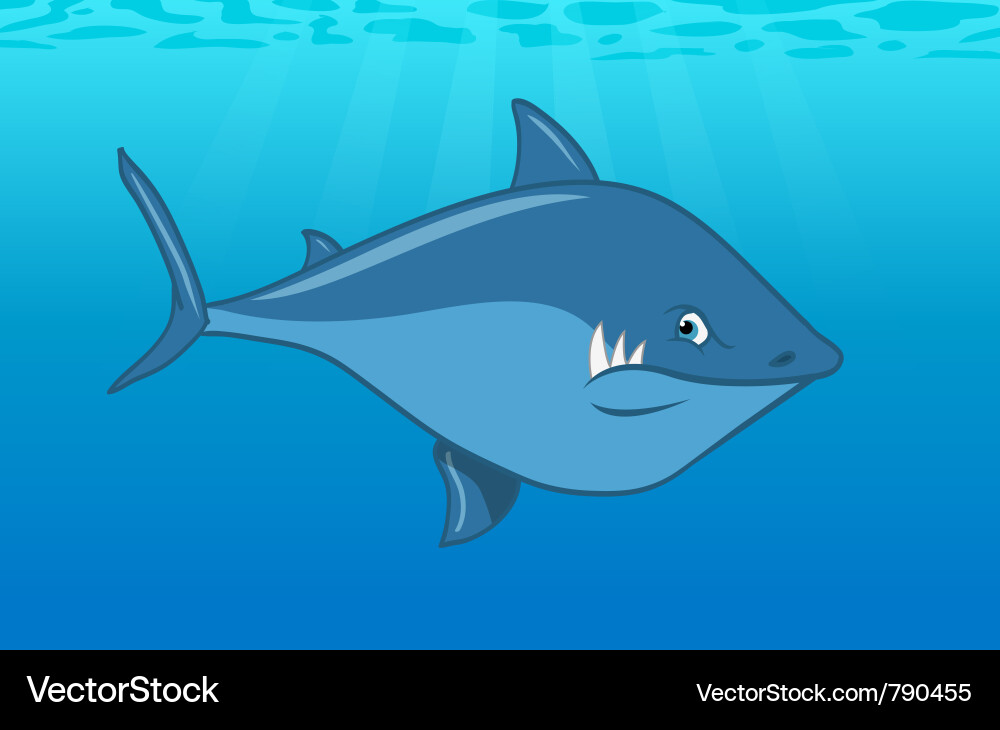 Shark ocean Royalty Free Vector Image - VectorStock