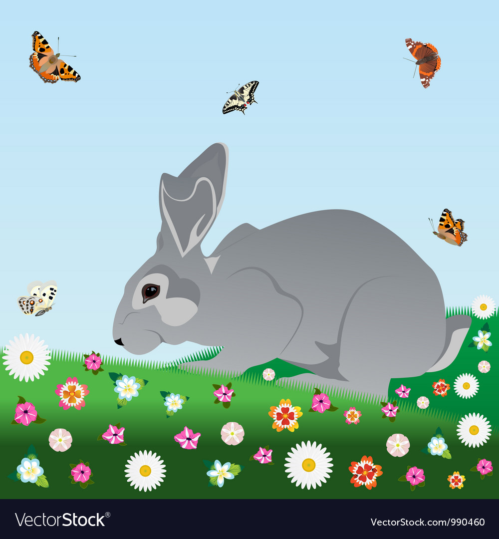 Hare Royalty Free Vector Image - VectorStock