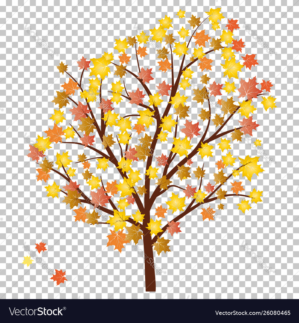 Autumn maples Royalty Free Vector Image - VectorStock