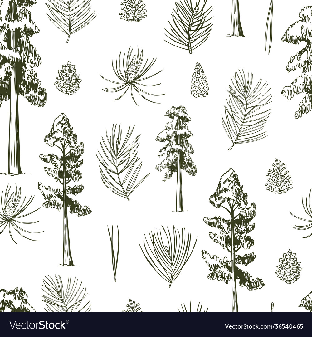 Pine set pattern Royalty Free Vector Image - VectorStock