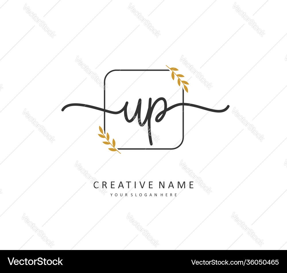 Up initial letter handwriting and signature logo Vector Image